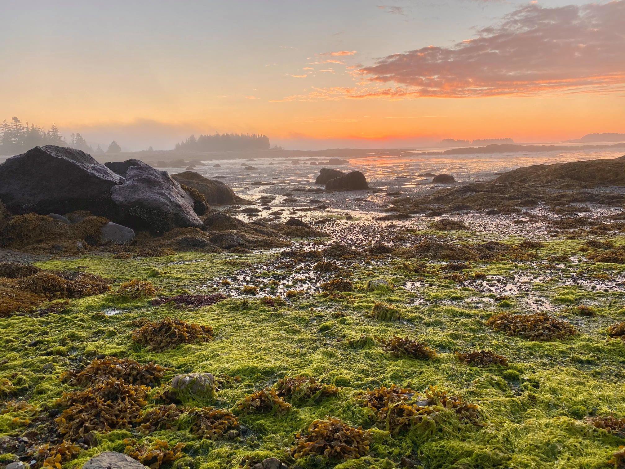 Washington County - Learning Ecosystems Northeast