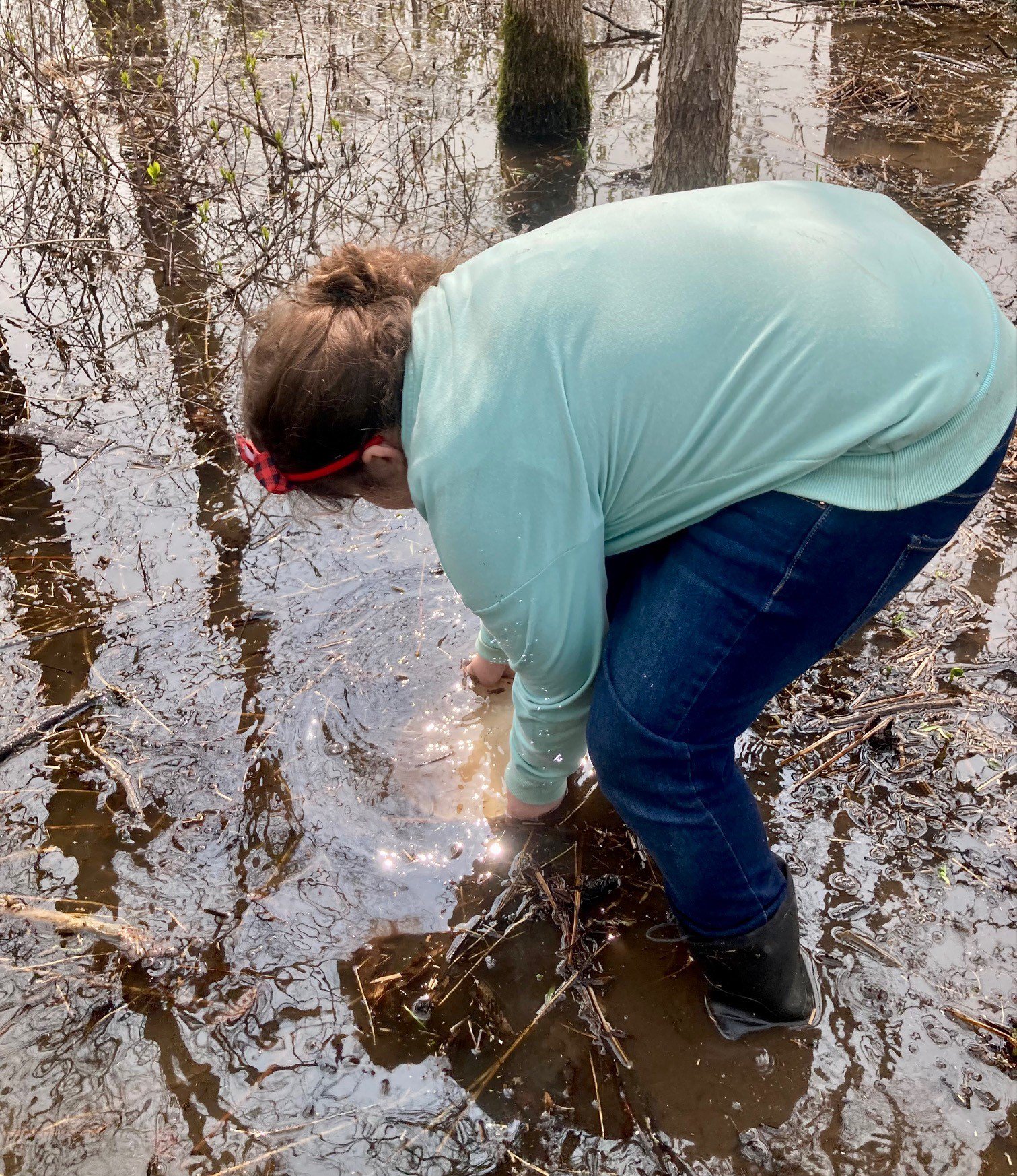 Vernal Pool Adventures: From Classroom to Field - Learning Ecosystems ...